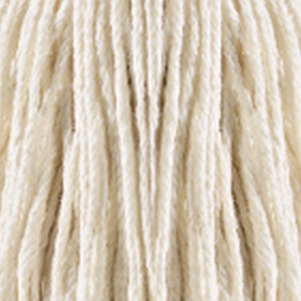 Mop with thin yarn with cap | TTS Cleaning